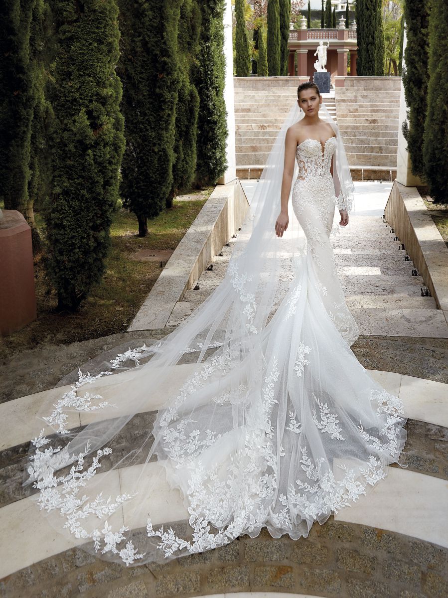 Demetrios SL23 | Koonings