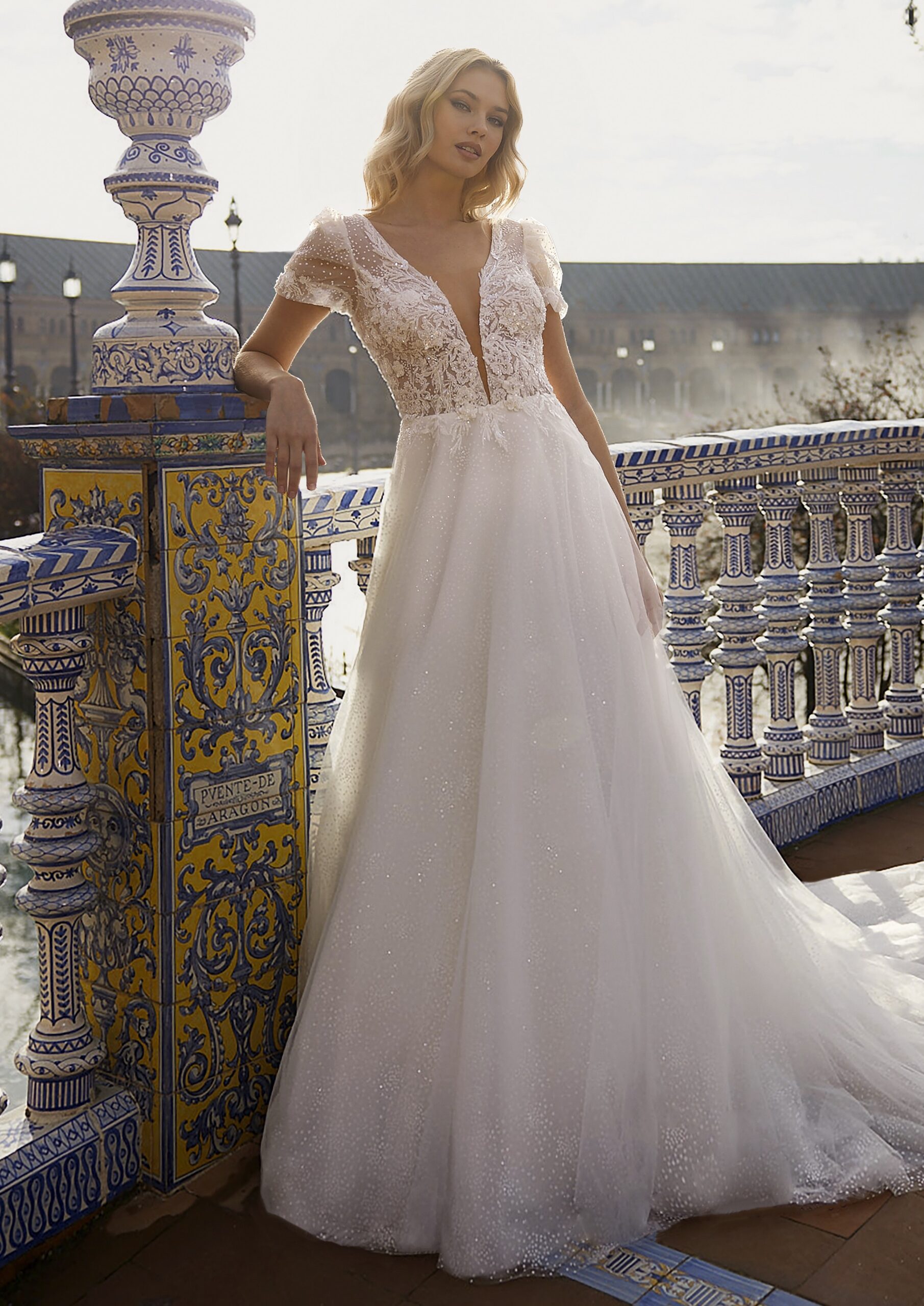 Libelle Jinte | Koonings