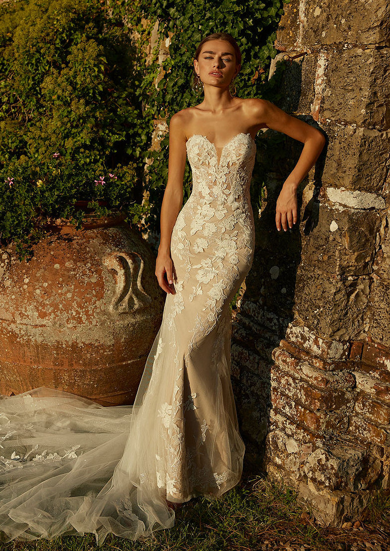 Modeca Dalma | Koonings