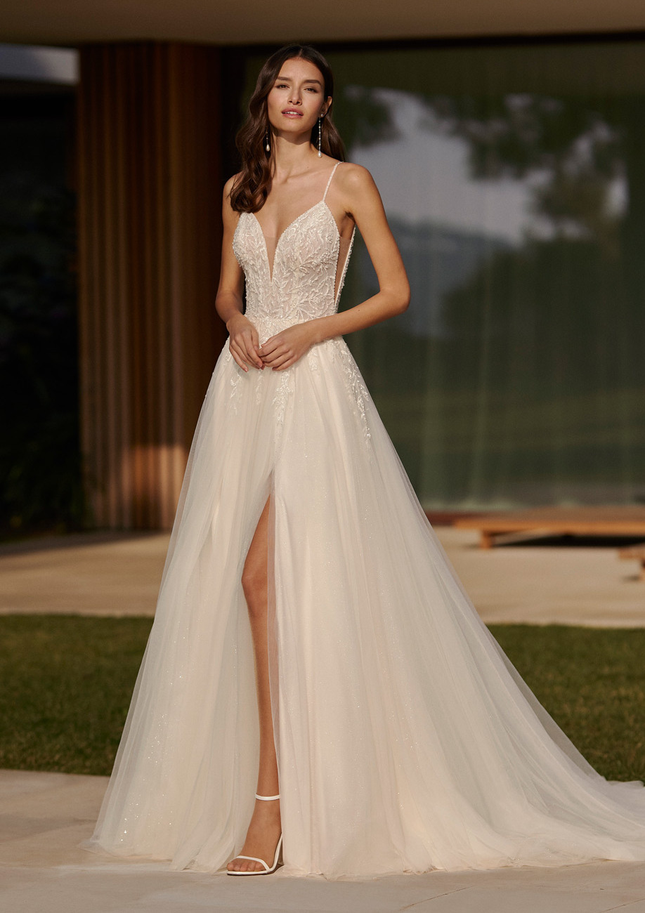 Rosa Clara Iraida | Koonings