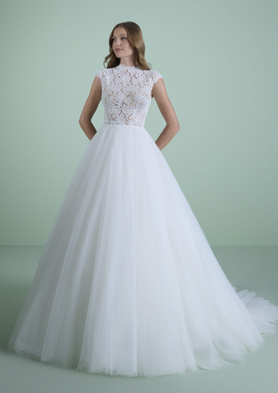 Demetrios Platinum DP490 | Koonings
