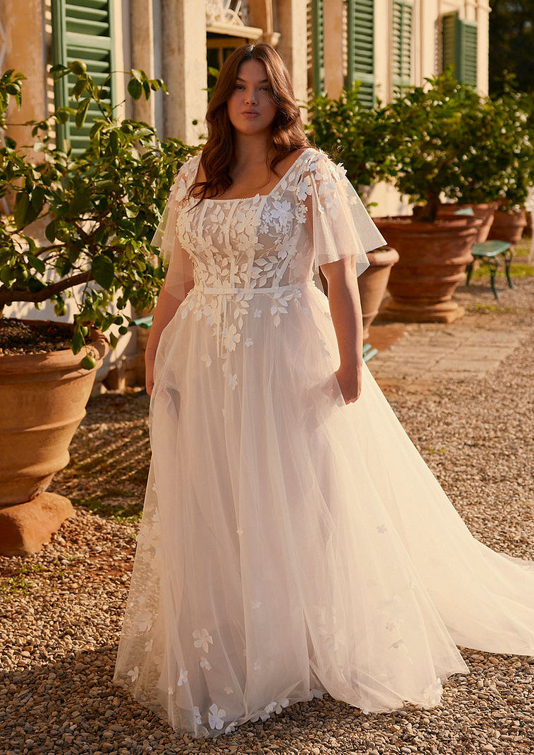 Modeca Curves Dasha-C | Koonings